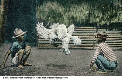 Noli Me Tangere - Deciphered: KABANATA 46-ANG SABUNGAN