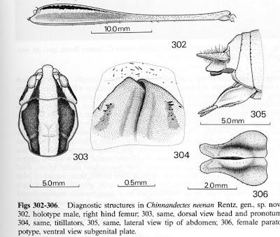 BunyipCo: September 2010