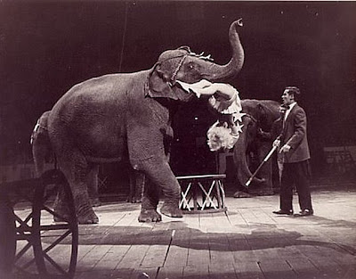 YESTERDAY'S TOWNS: ~TRUDY #2: CONTORTION ACROBATICS, ANIMALS, JUGGLING ...