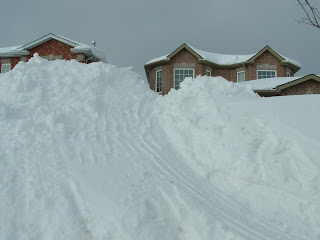 Graceful Life: Snow in Barrie, Ontario