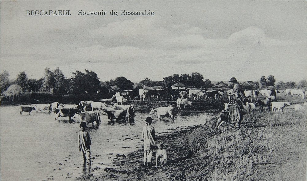 VALURILE DUNĂRII: Tot despre lacul Brates, lunca Prutului, ce-am avut ...