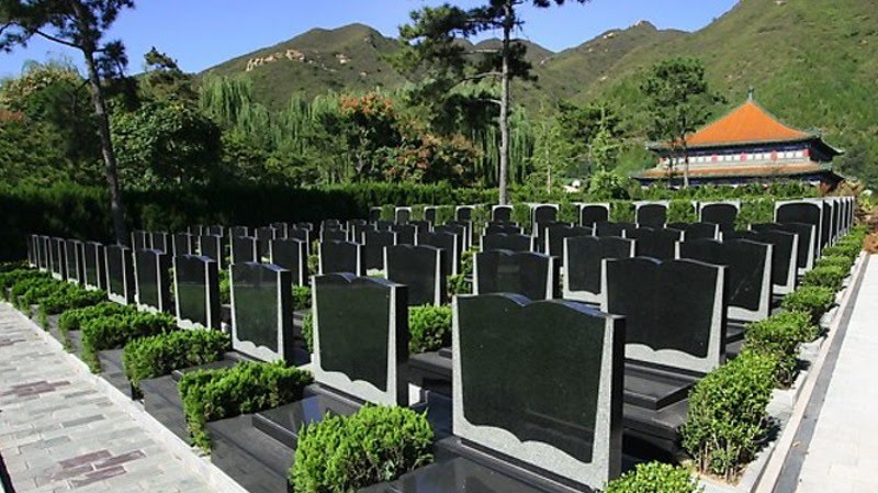 BeijingMan: Chinese Cemetery