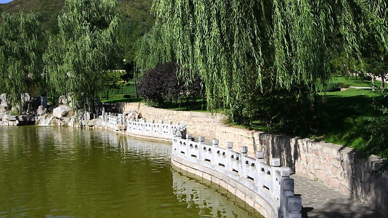 BeijingMan: Chinese Cemetery