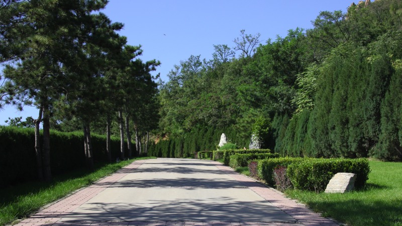 BeijingMan: Chinese Cemetery