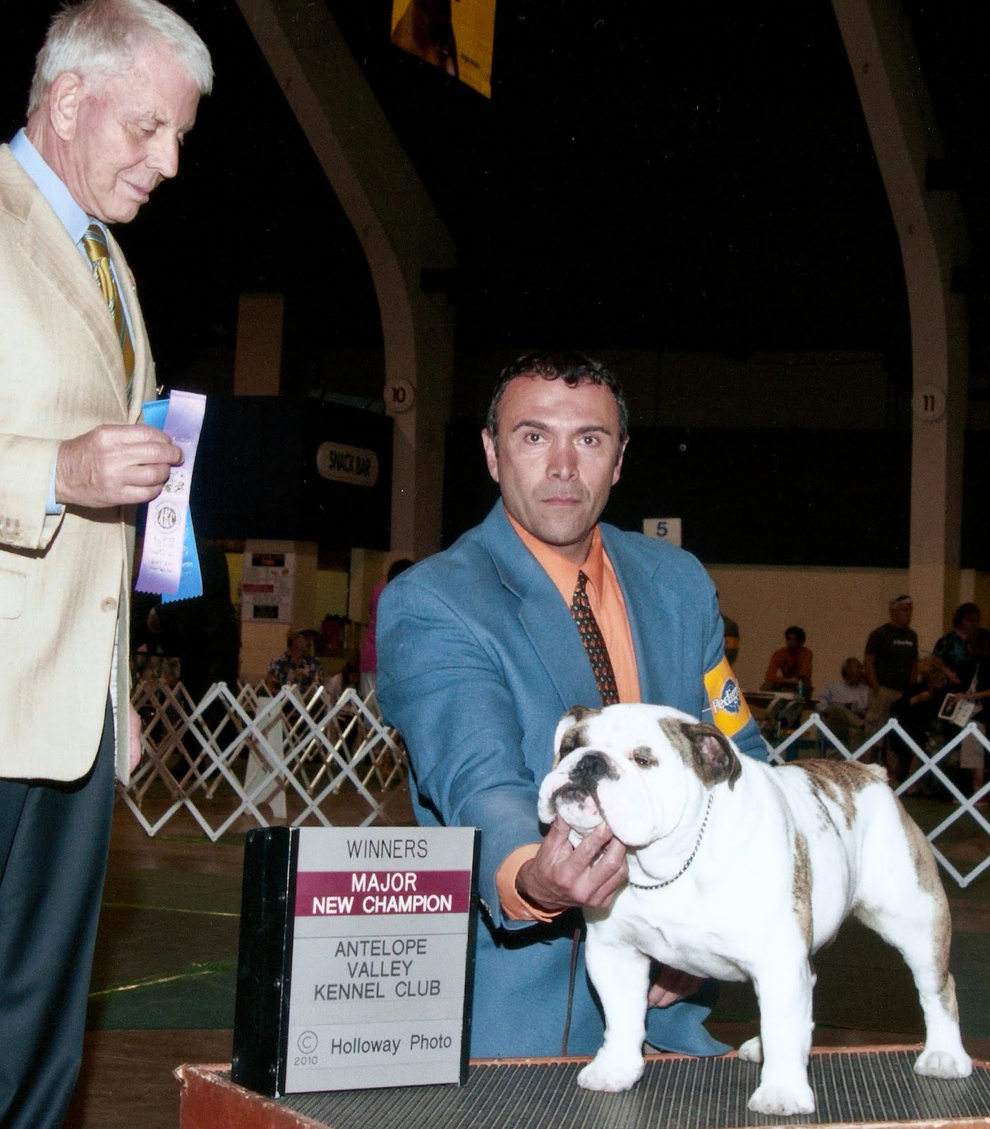 AB&JO BULLDOG'S: SEMENTALES
