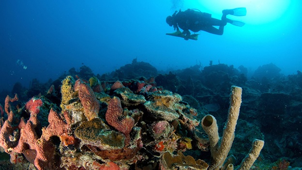 Ingenierías y Medio Ambiente