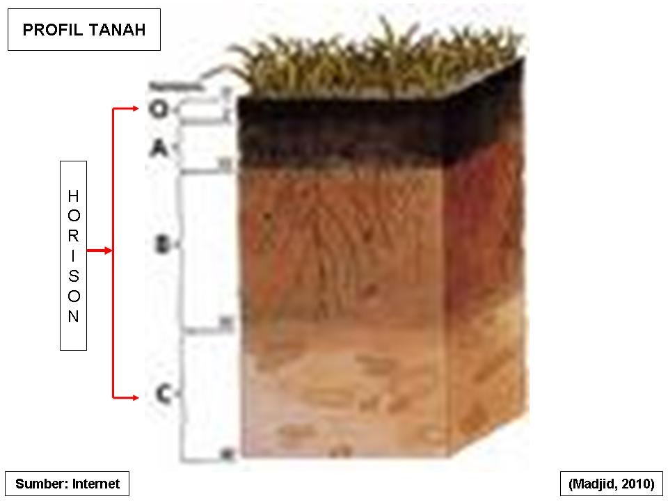 Soil Of Science: PENGERTIAN TANAH