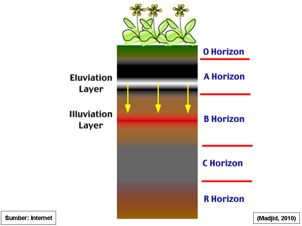 Soil Of Science: PENGERTIAN TANAH