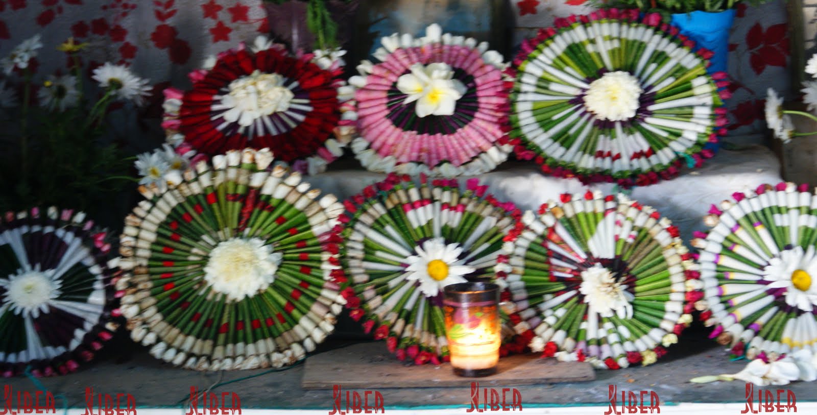 Zoque: Cultura y Tradición: El Joyonake