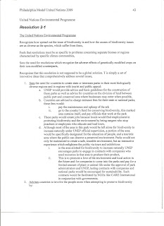 The Model UN experience: Resolution