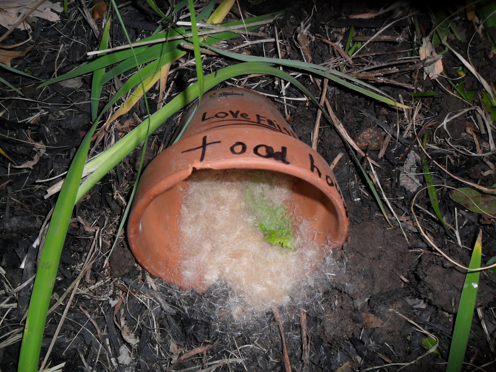 Nyack Backyard: How to Make a Toad House