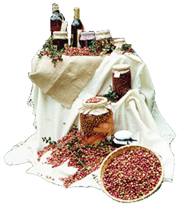 BOSQUE MUCHO MÁS QUE MADERA: Murtilla (Ugni molinae Turcz.) El berry ...