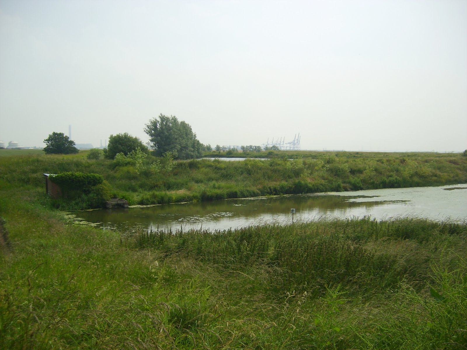 Notes from Kent's Hoo Peninsula: History Walk (Stoke), Saturday 26 June ...