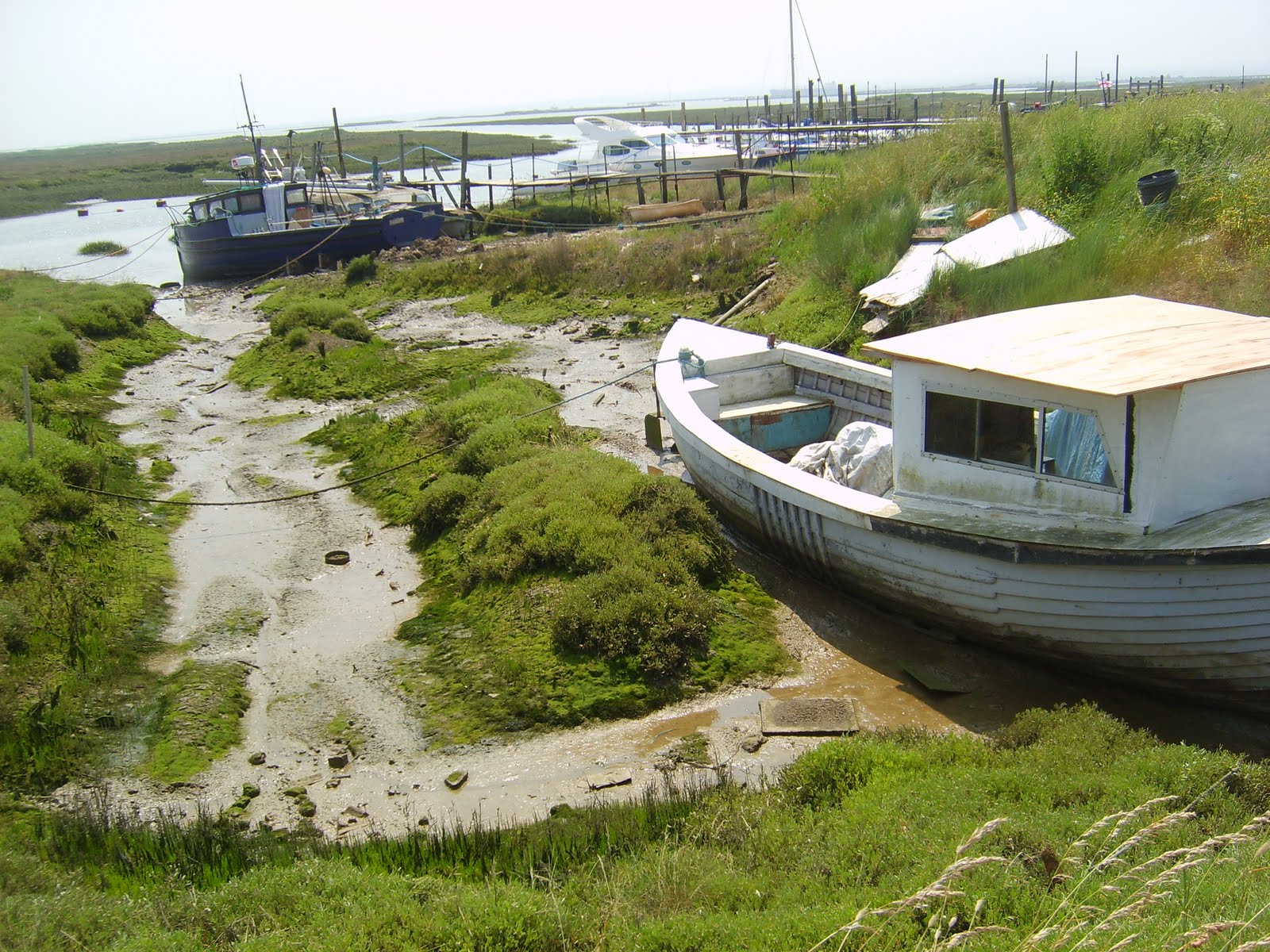 Notes from Kent's Hoo Peninsula: History Walk (Stoke), Saturday 26 June ...