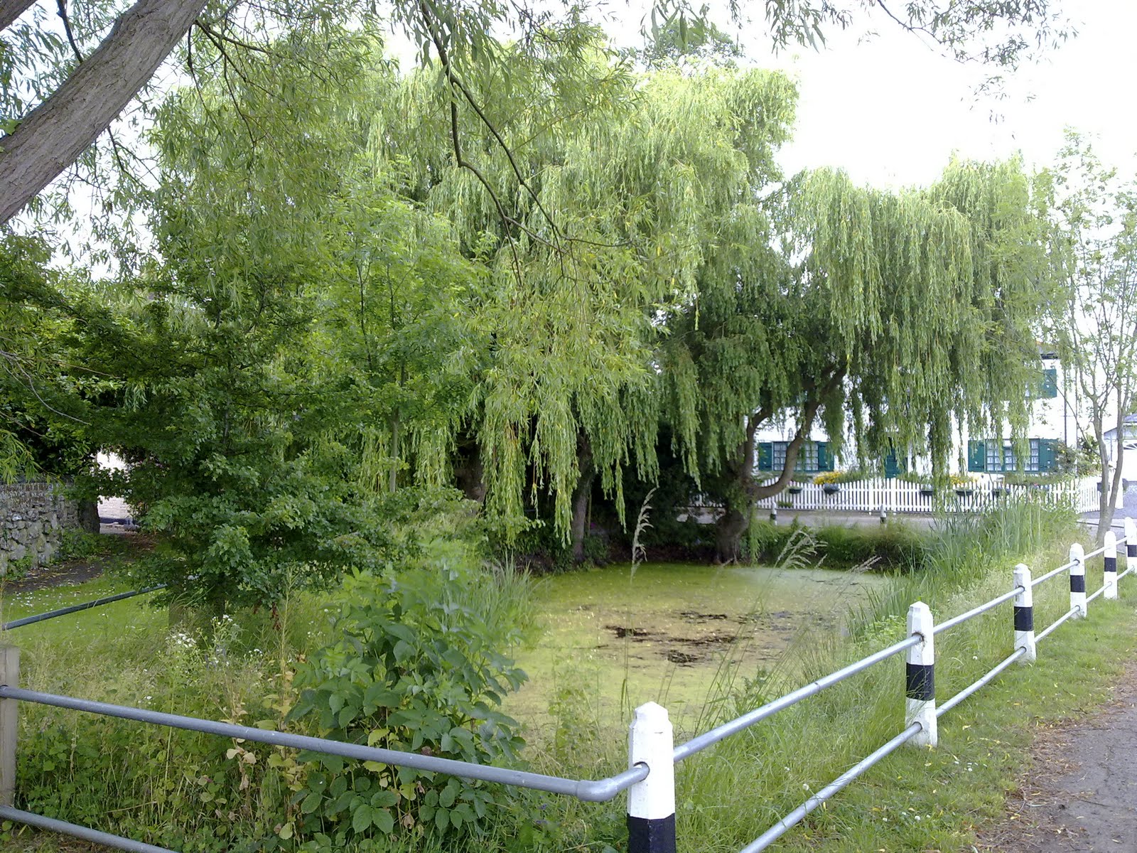 Notes from Kent's Hoo Peninsula: St. Mary Hoo, Village Photographs