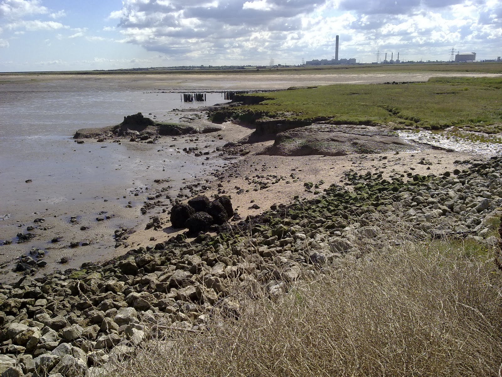 Notes from Kent's Hoo Peninsula: Morning Walk - Yantlet Creek, Allhallows