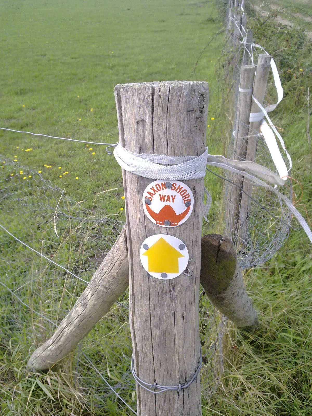 Notes from Kent's Hoo Peninsula: September 2010