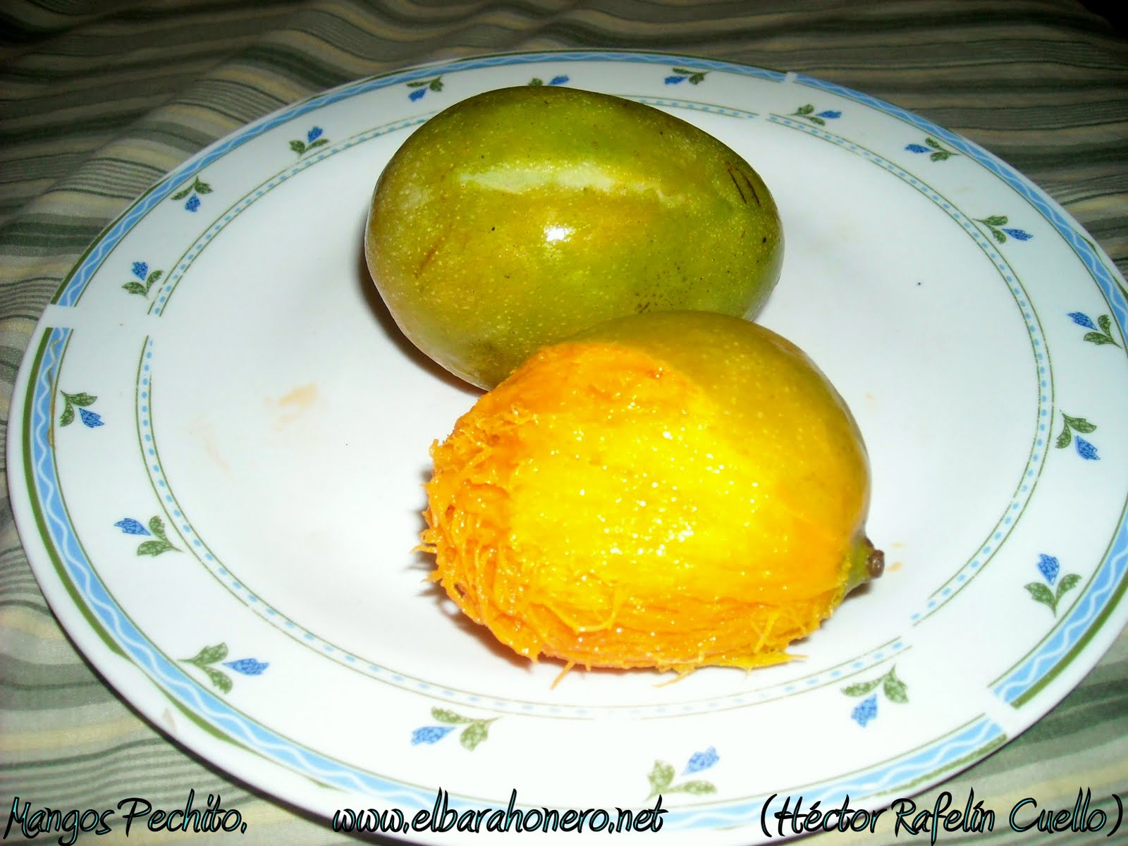 Desayuno Barahonero|El Barahonero