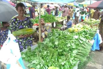 The Papua New Guinea Time Traveller's Log: Rabaul -- a great place to ...
