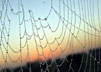 Tech Transformation: October 2010