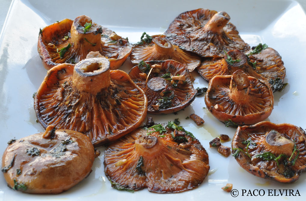 PACO ELVIRA: Recetas de cocina. "Rovellons" salteados con ajo y perejil