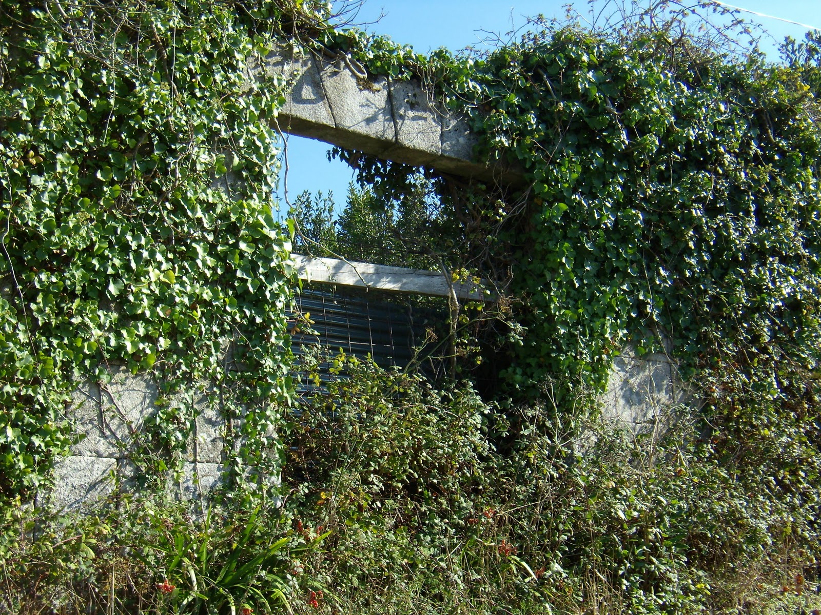 Vlad Y118 Alina Custom Set