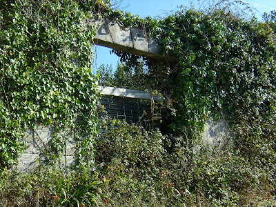 Vlad Y118 Alina Custom Set