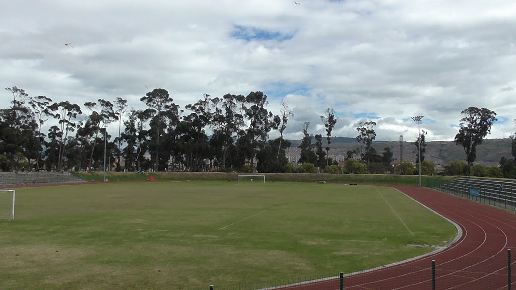 Turismo en Bicicleta Bogota: Arboles Parque Timiza