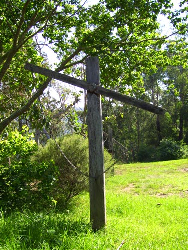 Black Pearl Photography: Rustic Clothes Line