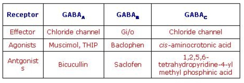 Lecture Notes for Pharmacy Students: Gamma amino butyric acid (GABA ...