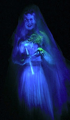 The Black Widow Bride Tribute