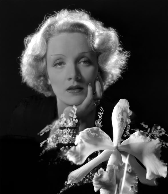 Marlene Dietrich: The Last Goddess: Dietrich by Cecil Beaton