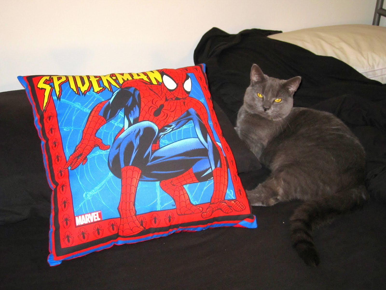 The 'Stache: Spiderman Swag