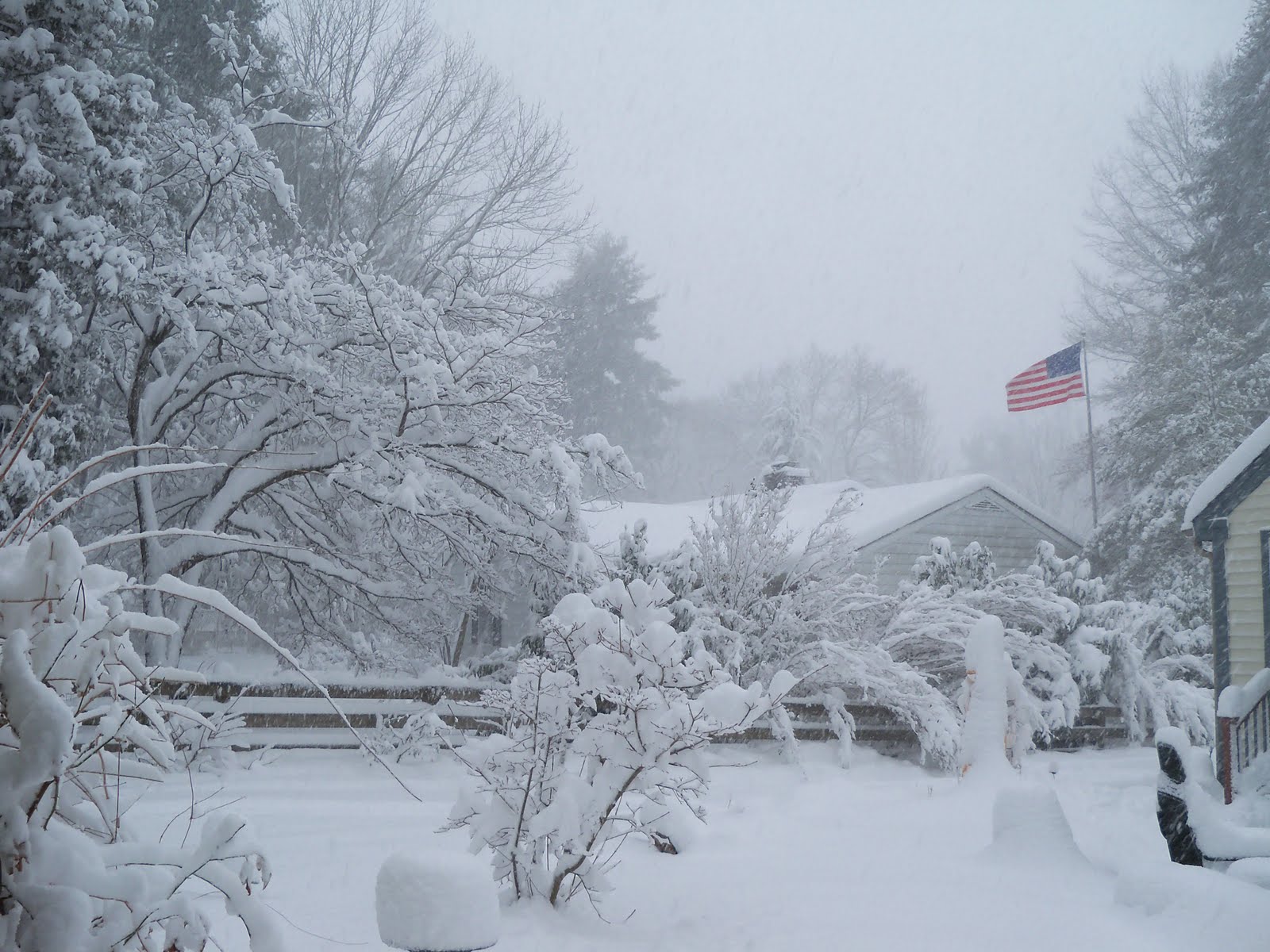 Pat's bro: Snow Snow Snow- Rain Rain Rain