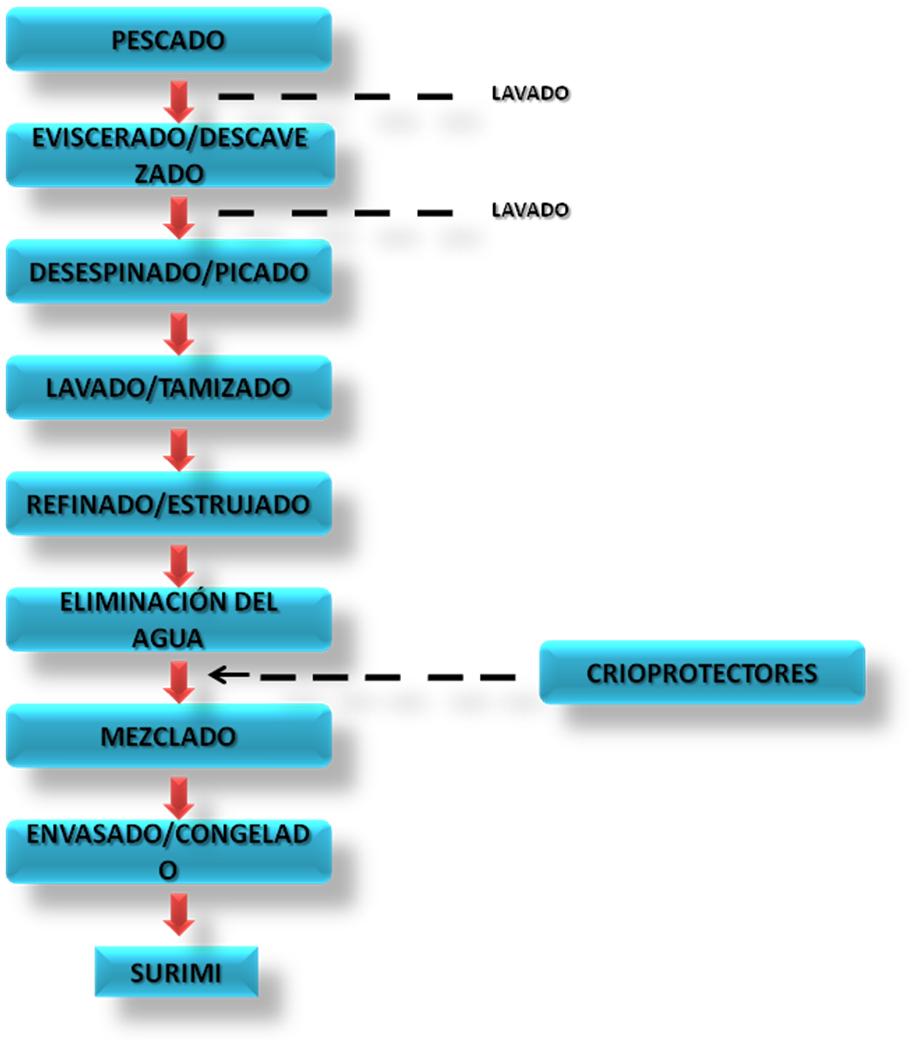 Elaboracion del Surimi: ELABORACIÓN DEL SURIMI