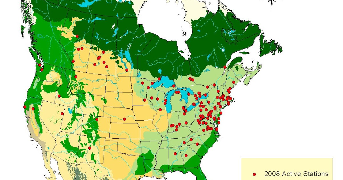 birdbling: Monitoring @ BCCER