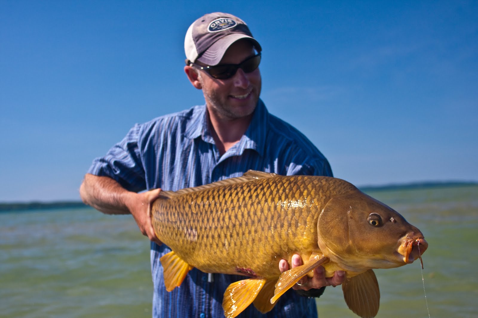 Grand Traverse Bay Carp - Northern Michigan | Guide Service | Steelhead ...