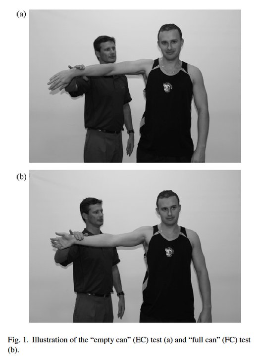 North City Physio blog to share clinical information with patients ...