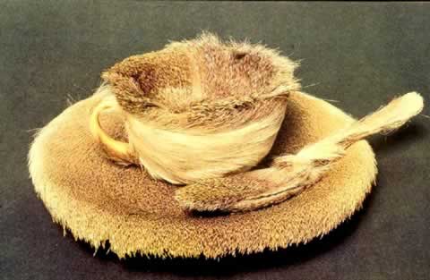 'Art is a guarantee of Sanity': 'Fur Teacup, saucer and spoon' by Meret ...