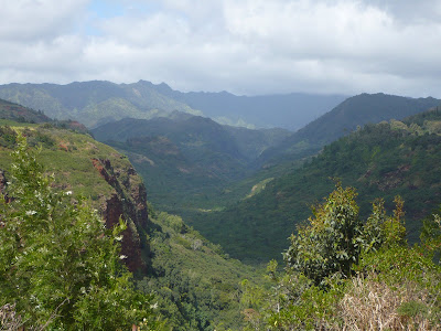 danae's gang: Kauai - The Windy Island