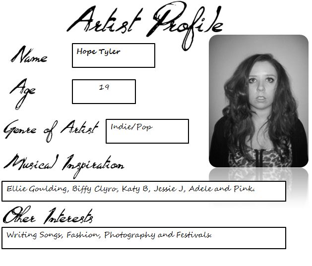 Emma Jolliffe's AS Media Coursework Blog: Artist Profile