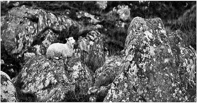 Ancient Digger Archaeology: Monday Ground Up: The Brilliance Of ...