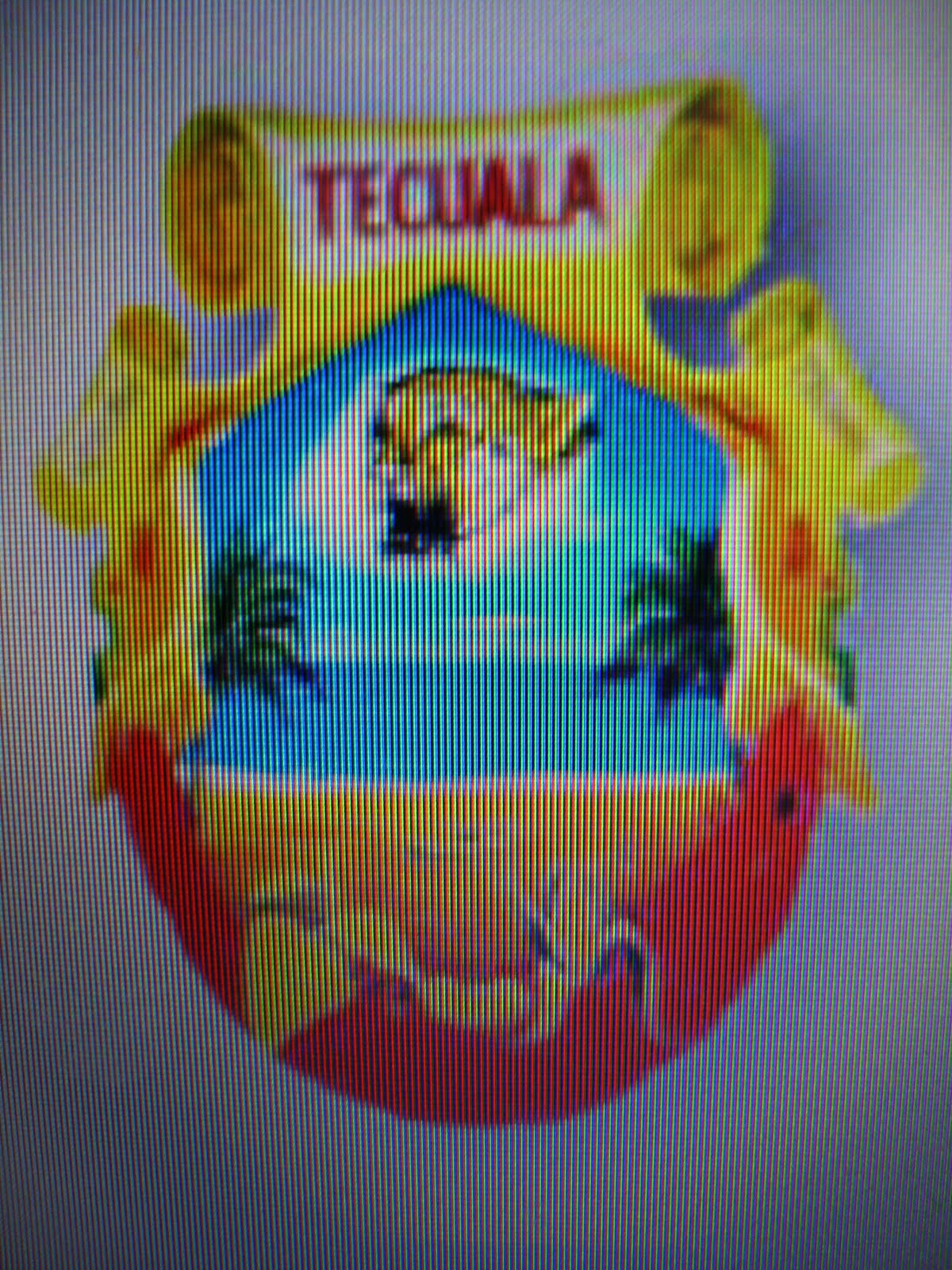 Ser Nayarita