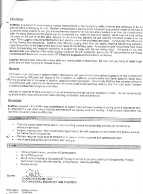 Matthew's Dyslexic Experiences in the Educational System (A Diary ...