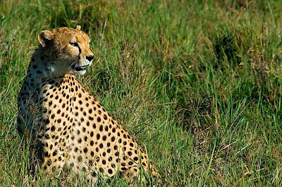 T-E-M-B-E-A Tanzania: Wa Chini, Ngorongoro