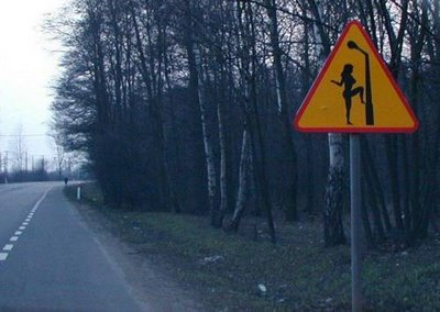 34 Bizarre Traffic Signs From Around the World - Pg1