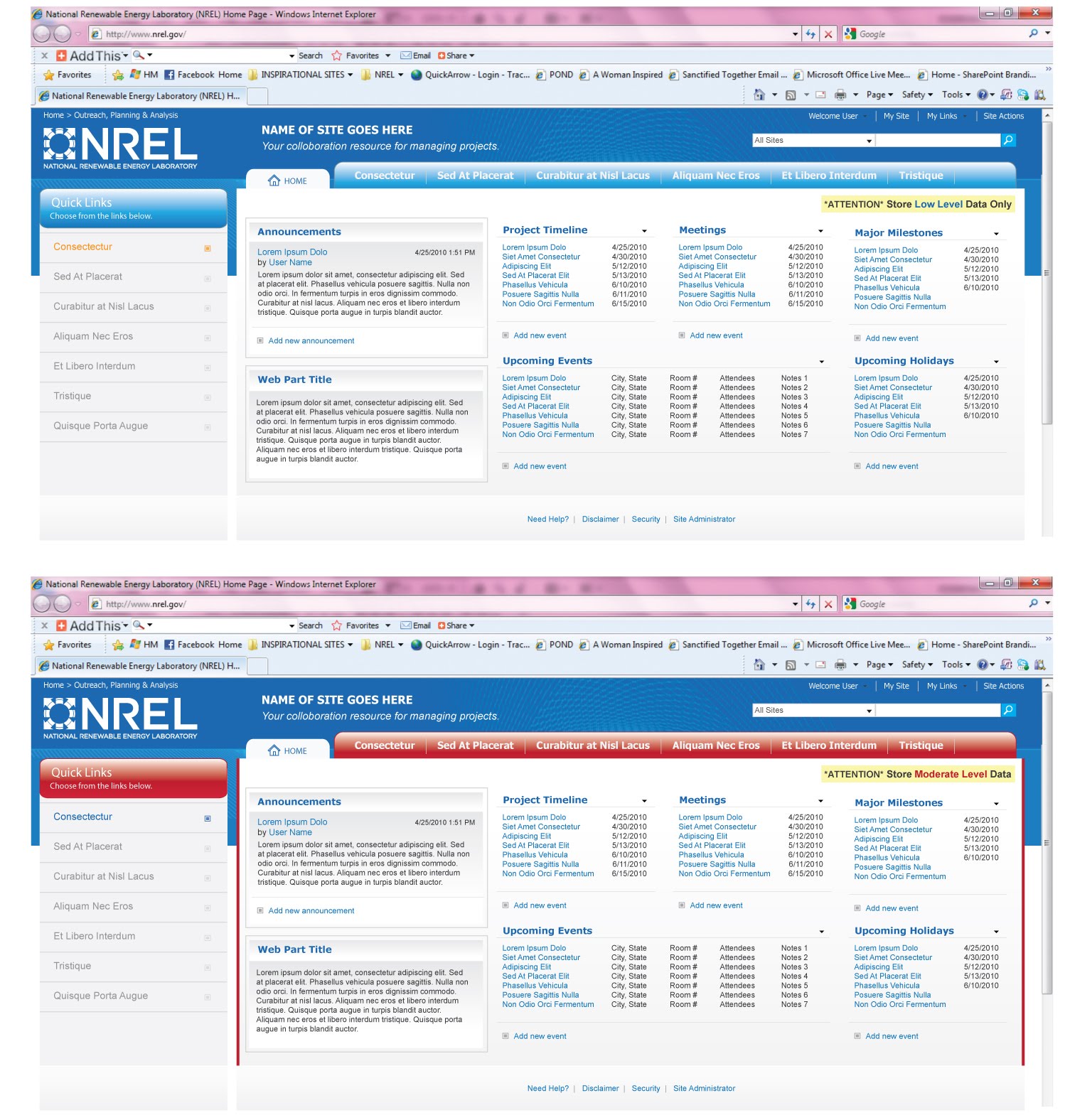 Celina Moser Baginski | SharePoint Branding Portfolio