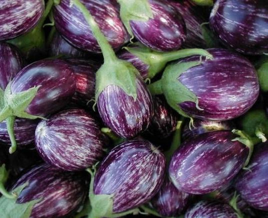 Baingan Vegetable In English
