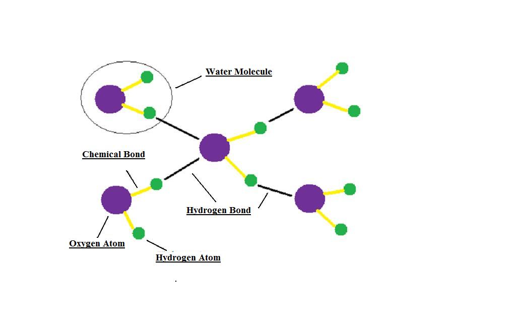 Exploring Creation with Science: Hydrogen Bonding