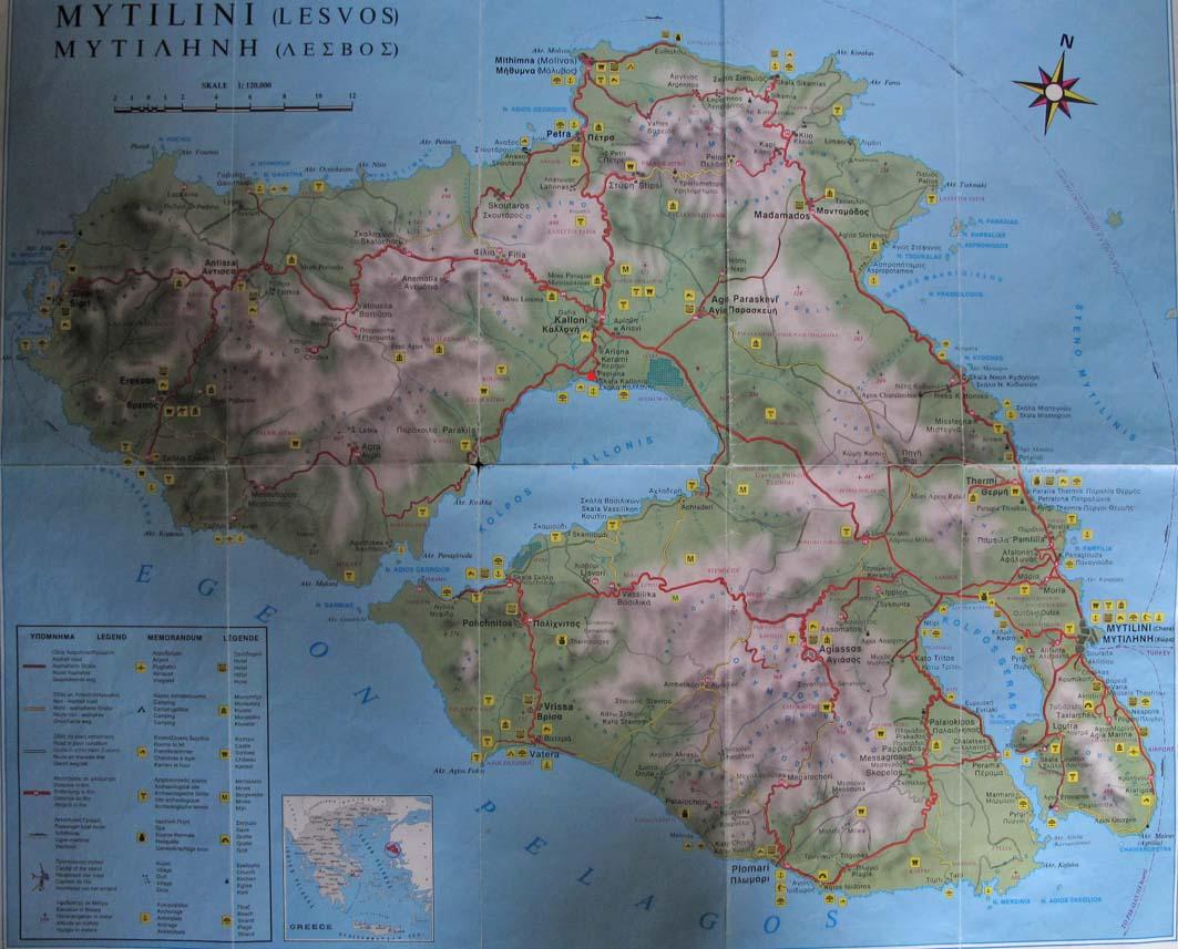 Wren's Nature Notebook: Birding the Greek Island of Lesvos.